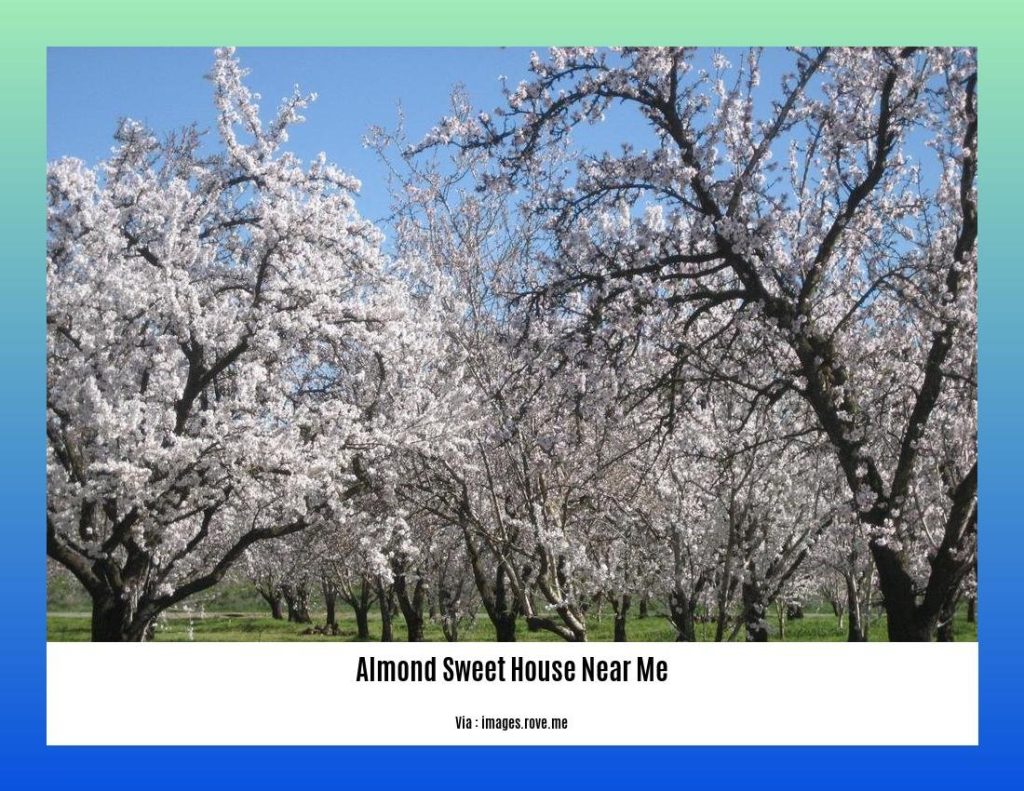 Uncovering the Almond Sweet House Near Me: A Culinary Expert's Guide to ...