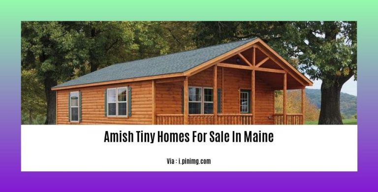 Title: Discover the Charm and Sustainability of Amish Tiny Homes for ...