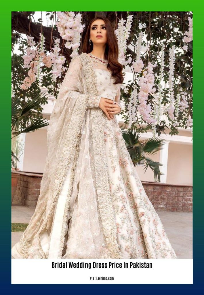 - Bridal Wedding Dress Price in Pakistan: A Comprehensive Guide for ...