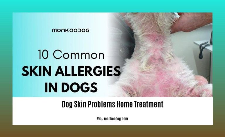 - Effective Dog Skin Problems Home Treatment: A Comprehensive Guide for ...