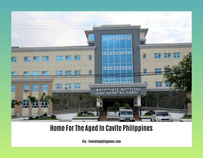 - Challenges and Opportunities in Home Care for the Aged in Cavite ...