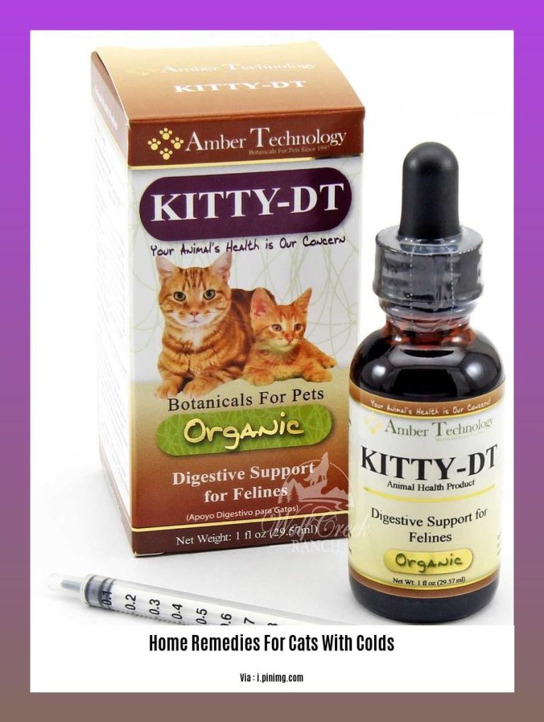 Home Remedies for Cats with Colds: Natural Relief and Comfort - Wave Sold