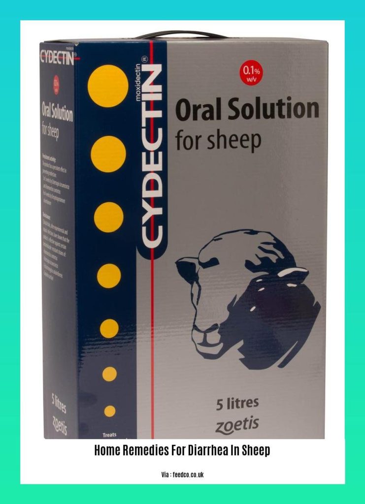 Home Remedies for Diarrhea in Sheep: A Guide to Restoring Digestive ...