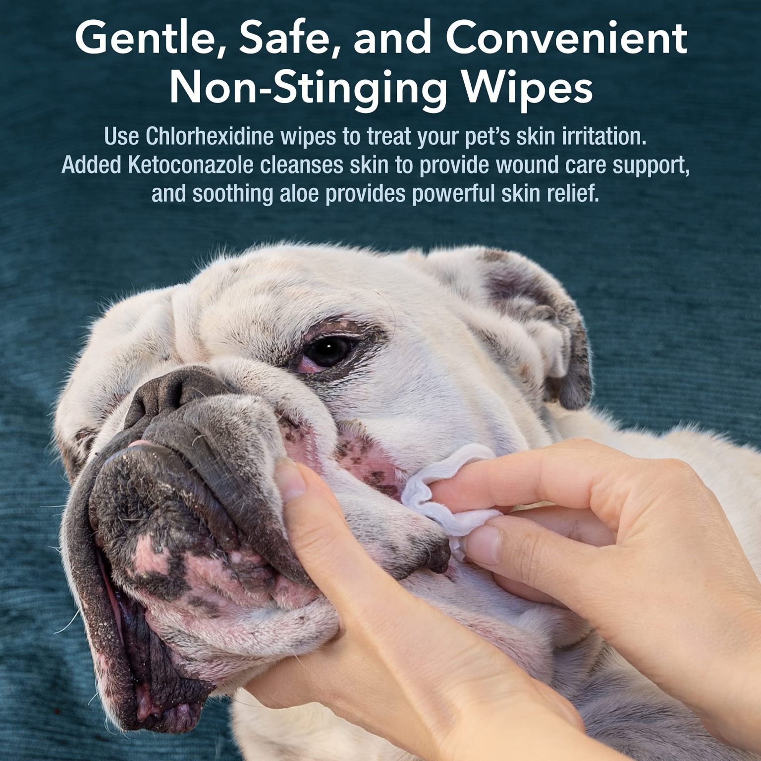 Home Remedies for Skin Irritation on Dogs: Natural Solutions for Relief ...