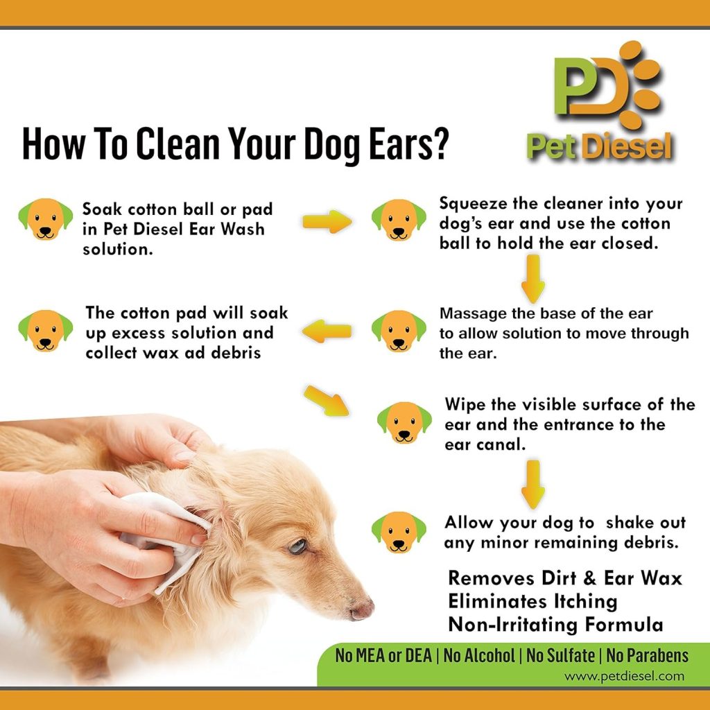Homemade Dog Ear Cleaner with Apple Cider Vinegar: A Natural Solution ...