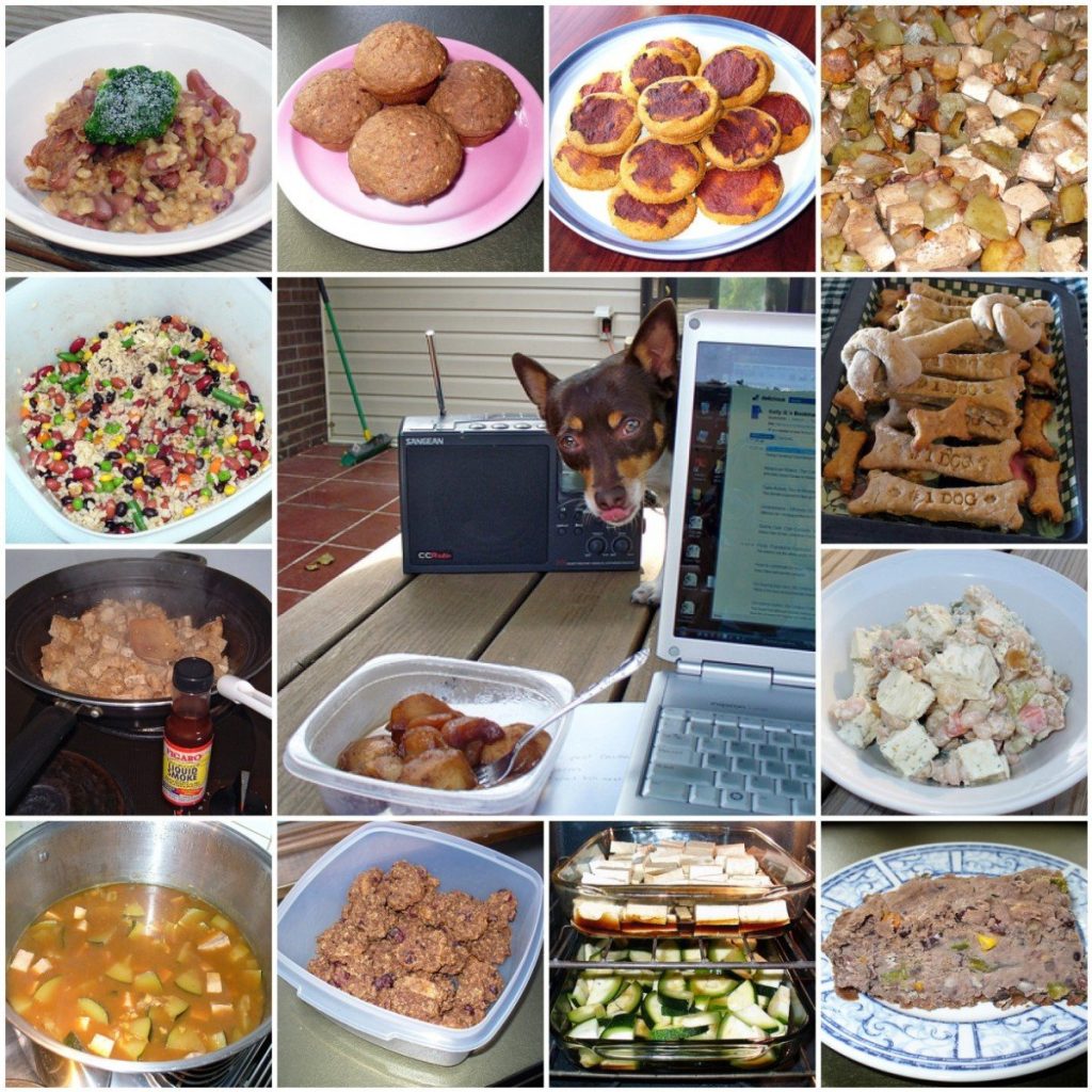 The Ultimate Homemade Dog Food Feeding Chart: Expert Guidance for Every ...