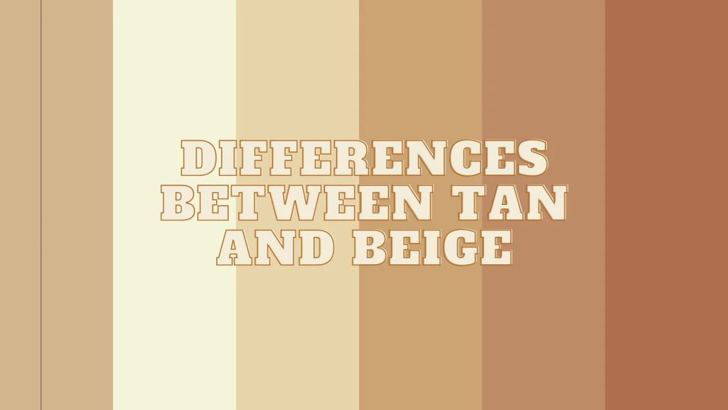Beige vs. Tan: Unveiling the Nuances of These Timeless Neutrals - Wave Sold