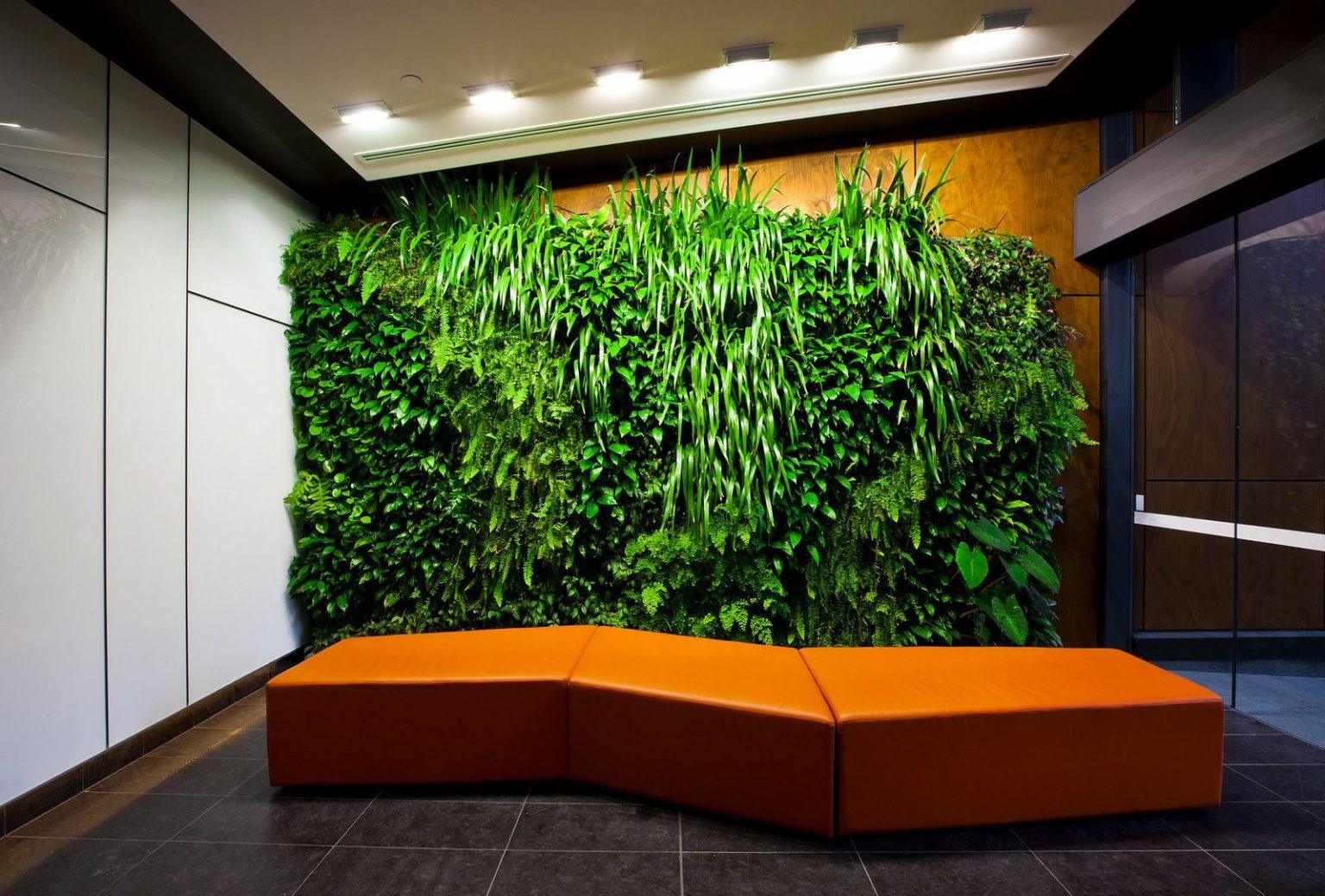 The Ultimate Guide to Green Walls: Benefits, Design, Installation ...