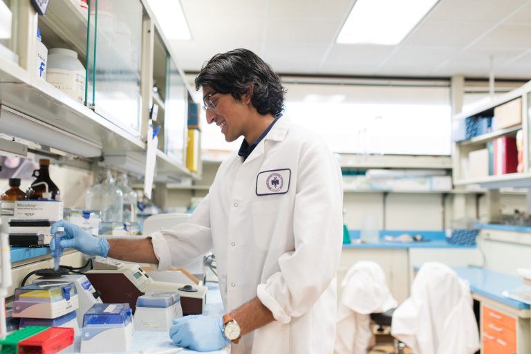 Mercer Labs: Your Guide to NYC's Immersive Art & Technology Museum ...