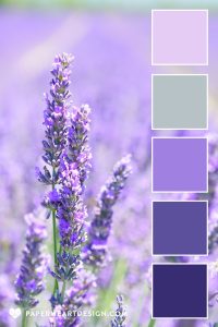 What Colors Go With Lavender: 20+ Stunning Palettes for Your Home ...