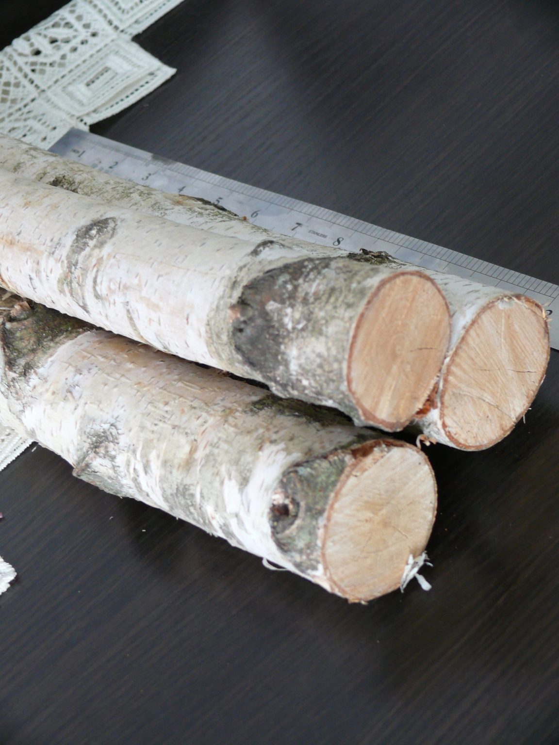 Birch Branch Identification: A Comprehensive Guide to Betula Branches ...