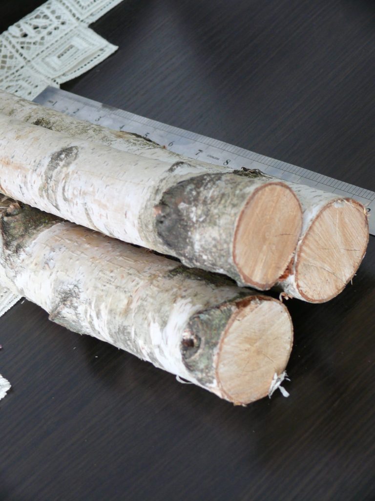 Birch Branch Identification: A Comprehensive Guide to Betula Branches ...
