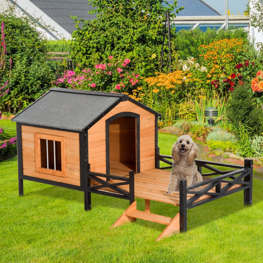 Dog Kennels and Dog Houses: Your Guide to the Perfect Outdoor Setup ...