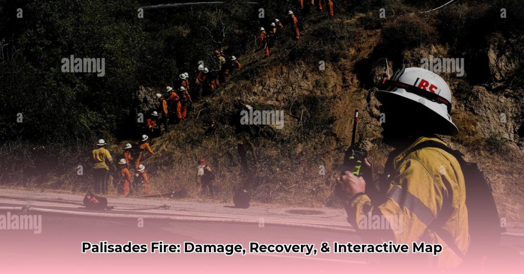 Palisades Fire Damage Map: Interactive Viewer & Recovery Resources ...