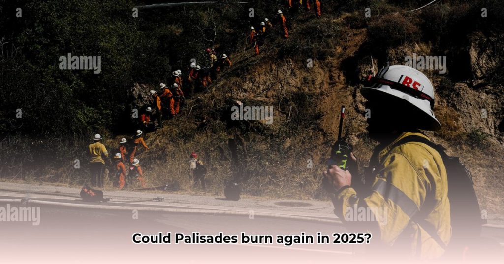 Palisades Fire Progression Map: A Hypothetical 2025 Case Study - Wave Sold
