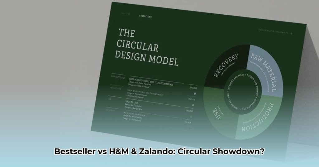 Comparing Bestseller's Circular Design Approach with H&M and Zalando ...