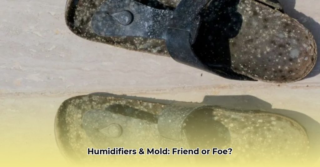 Do Humidifiers Cause Mold? The Truth & How to Prevent It - Wave Sold
