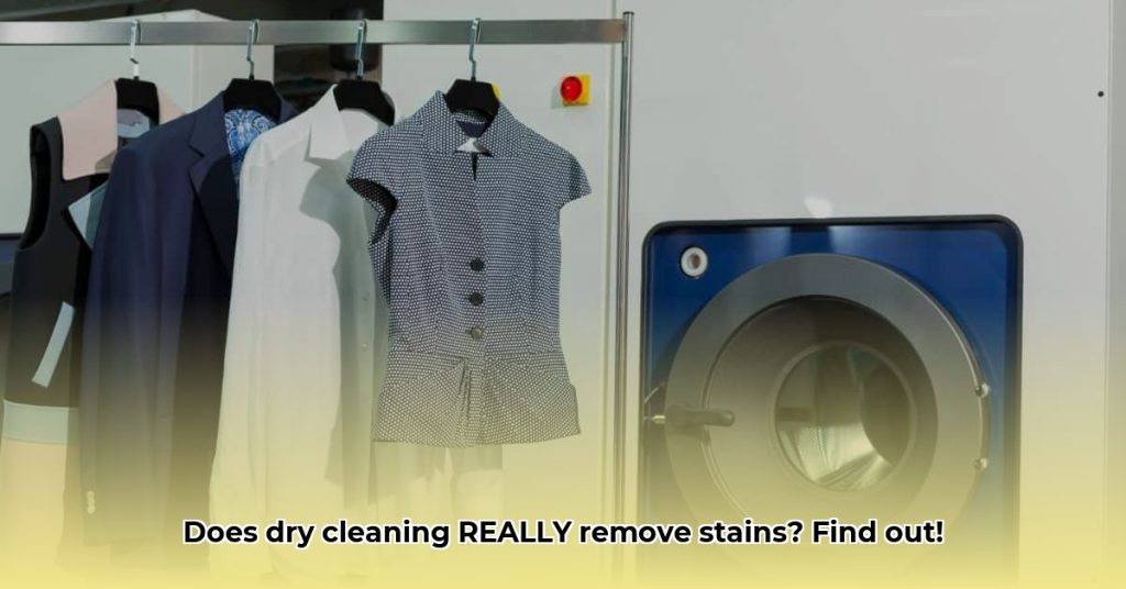 Does Dry Cleaning Remove Stains? A Comprehensive Guide - Wave Sold