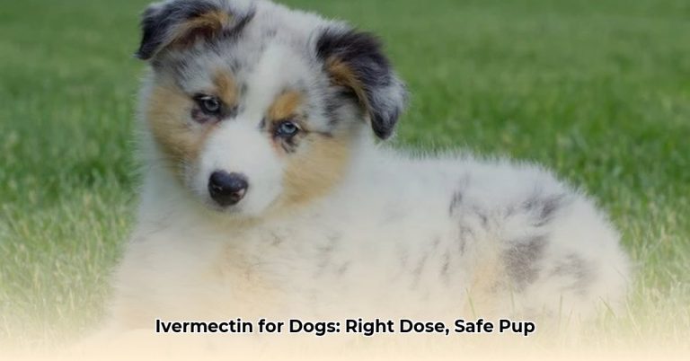 Ivermectin Dosage for Dogs: A Weight-Based Guide - Wave Sold