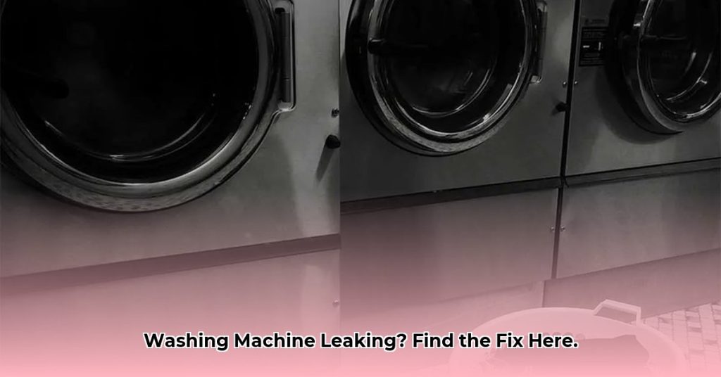 Why Is My Washing Machine Leaking From the Bottom? (Causes & Solutions ...