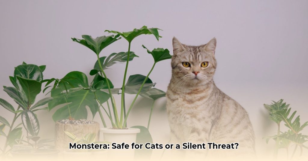 Are Monstera Plants Toxic to Cats? - Wave Sold