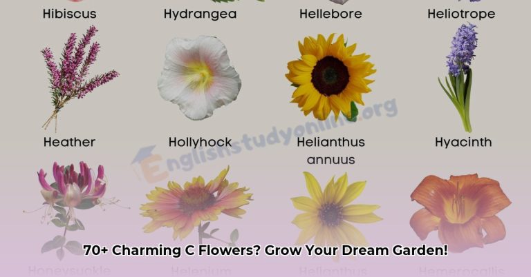 70+ Charming Flowers That Begin With C: A Visual Guide with Growing ...