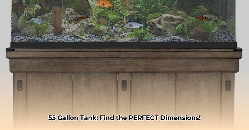 55 Gallon Fish Tank Dimensions: Length, Width, and Height - Wave Sold