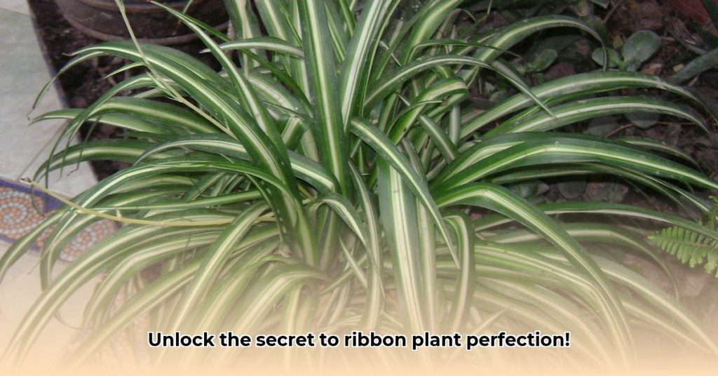Grow Stunning Ribbon Plants: A Complete Guide - Wave Sold